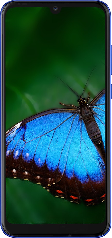 Gionee F11 - Ficha Técnica - TudoCelular.com