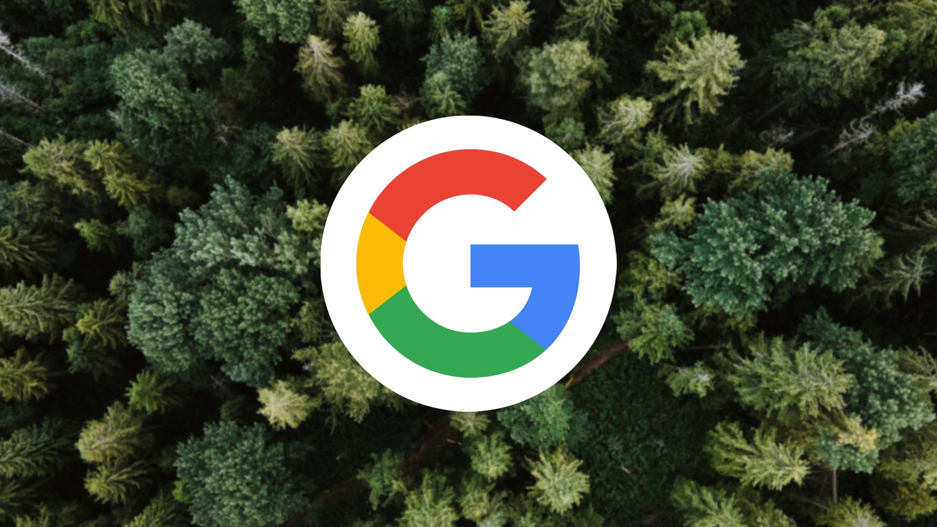 Dynamic World: Google lança recurso que mostra a evolução das mudanças ...