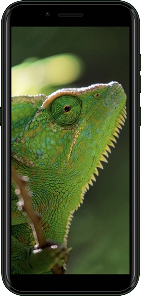 Blu C5L Plus - Ficha Técnica - TudoCelular.com