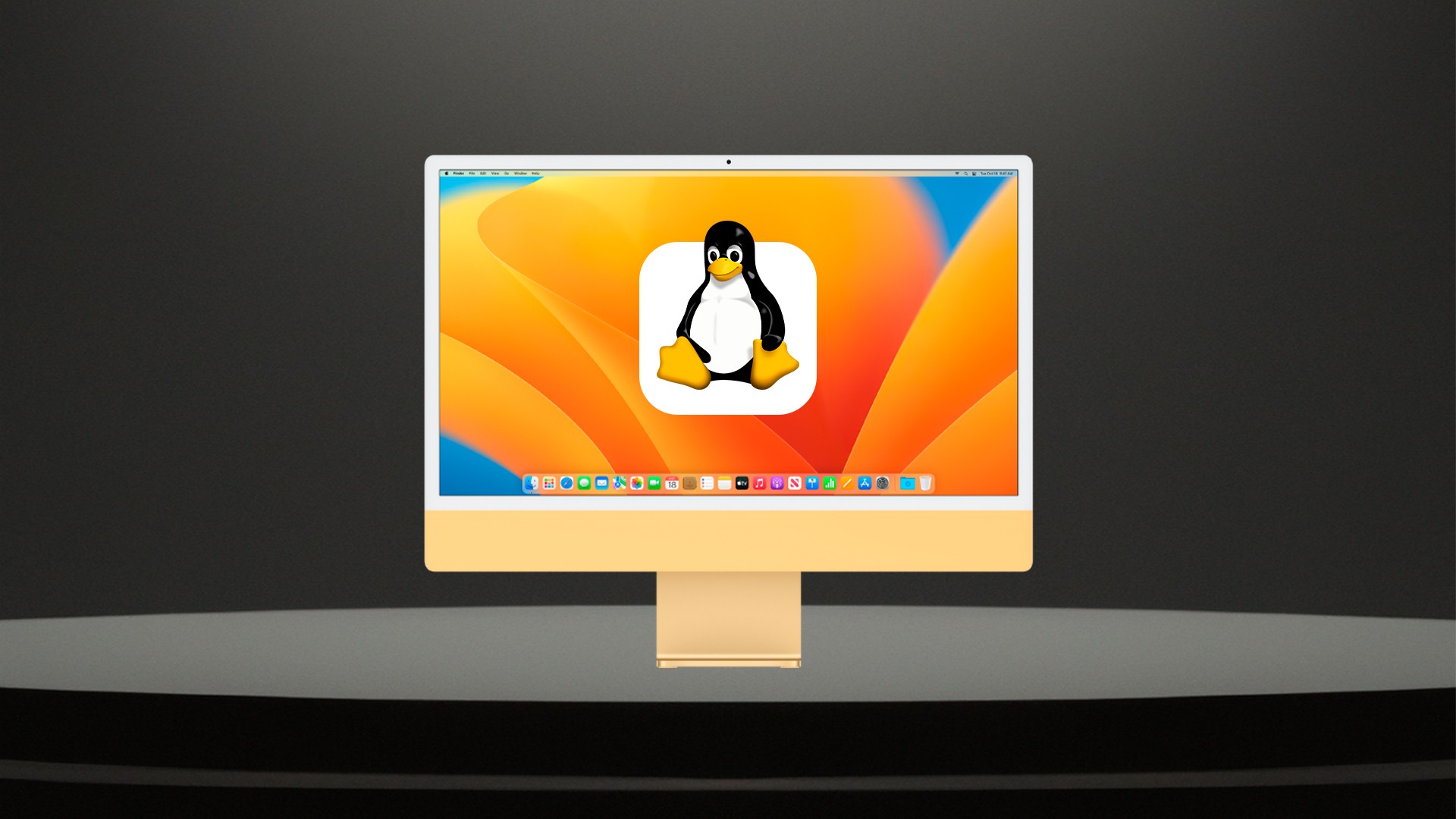 Apple no Linux: patch adiciona suporte ao novo Magic Trackpad com USB-C - TudoCelular.com