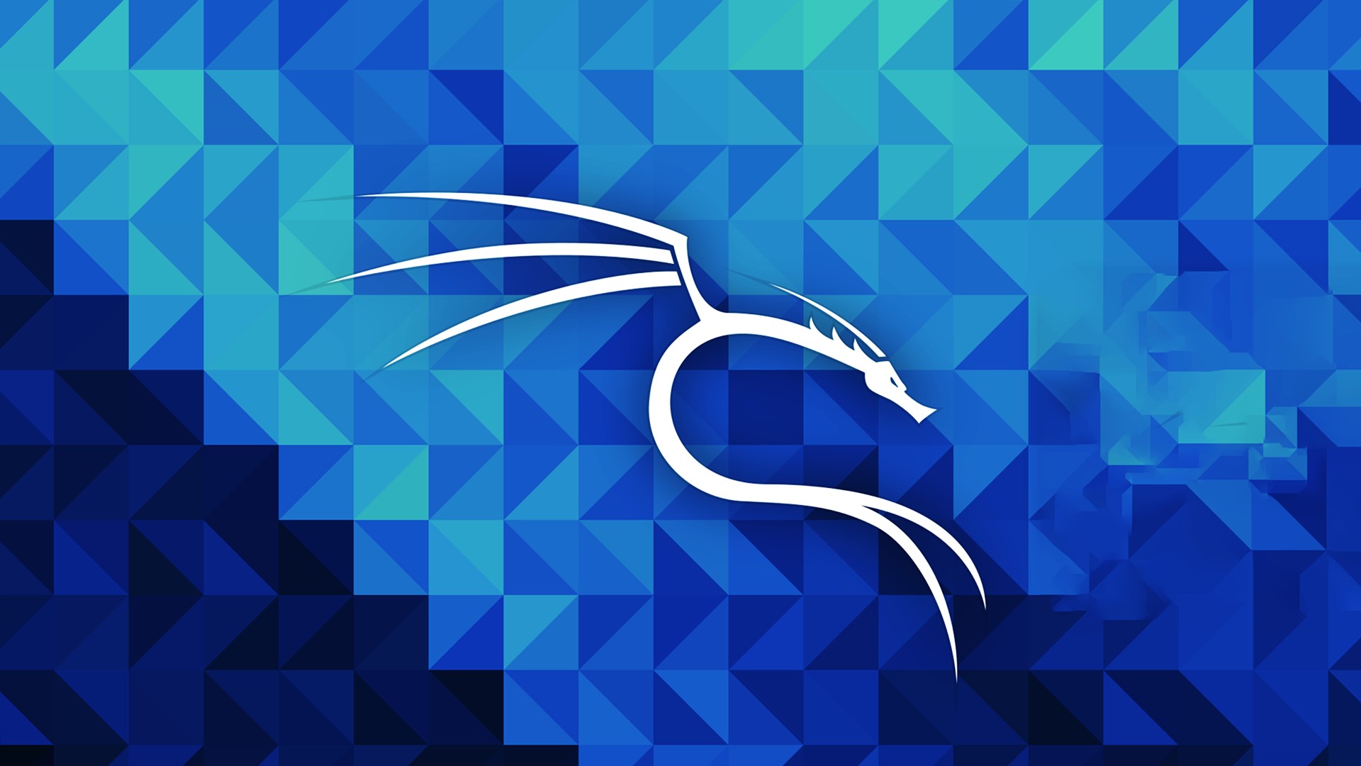 Para hackers: Kali Linux 2024.4 é lançado com Kernel 6.11, GNOME 47 e ...